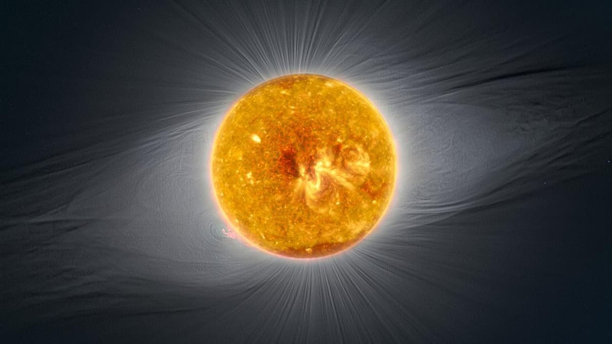 Lithium-rich giants: Sun, stars like it produce huge amounts of lithium ...
