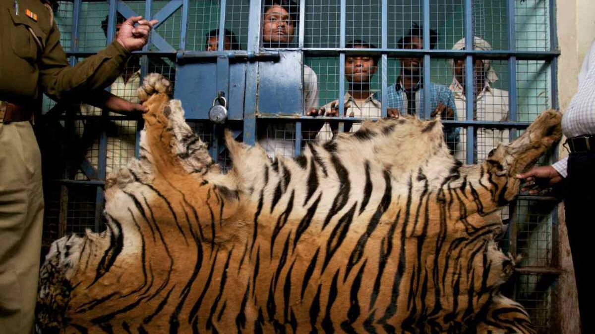 International wildlife forensics e-conference ends, draws attention to ...