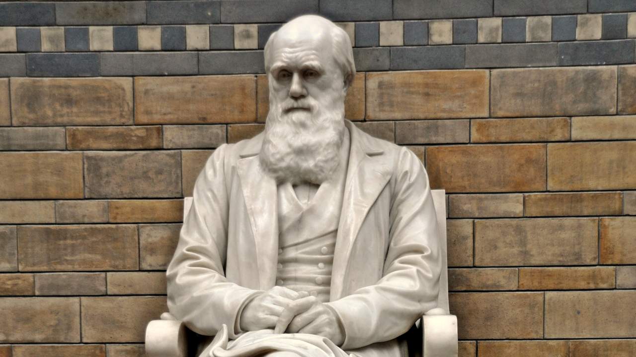 Charles Darwin | World News, Latest and Breaking News, Top ...