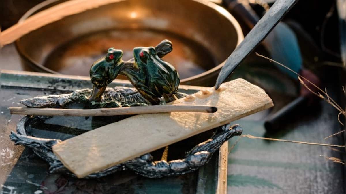 Derived from an Amazonian frog, Kambo is catching on as an alt-wellness ...