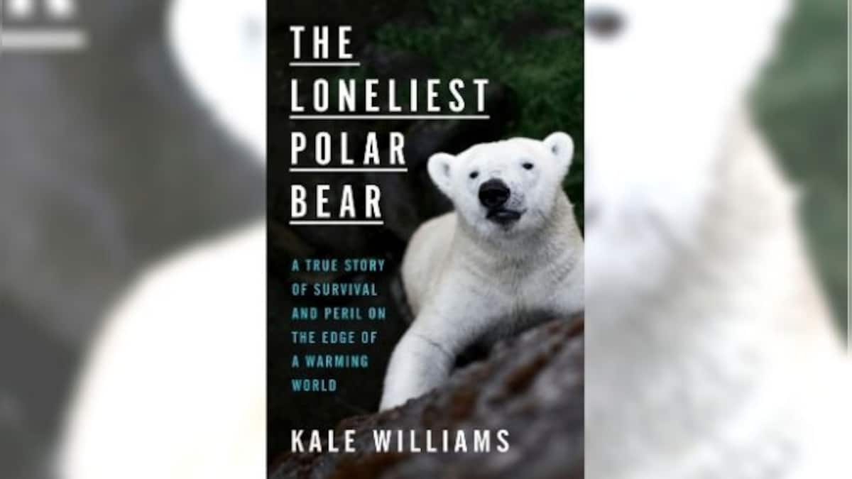 The Loneliest Polar Bear review: Kale Williams' book charts the history ...