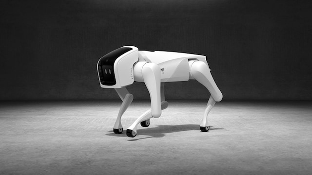 The ulti-mutt pet? Chinese tech company develops robot dogs that uses ...