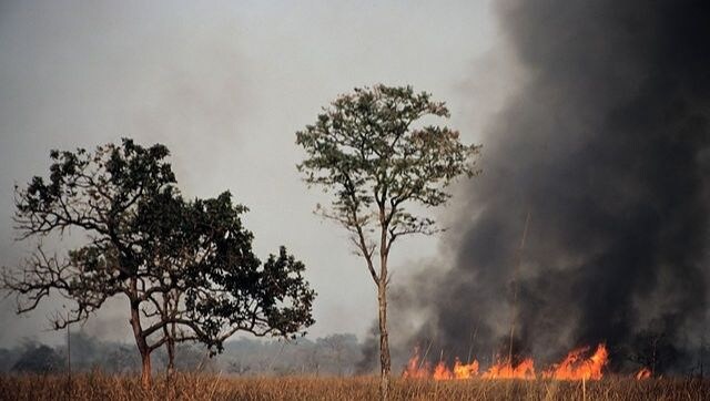 In India, as incidence of forest fires spikes in the pandemic ...