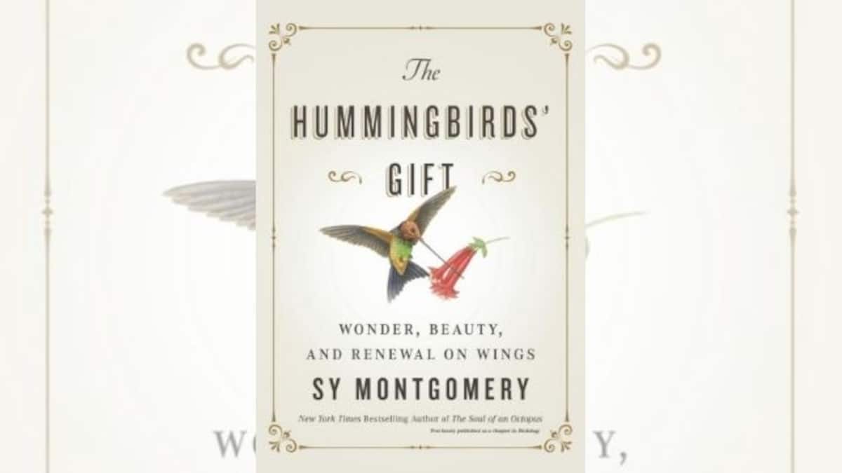 Sy Montgomery's The Hummingbirds' Gift is like the birds: A short ...