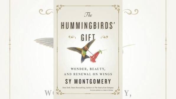 Sy Montgomery's The Hummingbirds' Gift is like the birds: A short ...