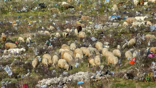 UN exhibition showcases 28 images of plastic pollution around the world ...