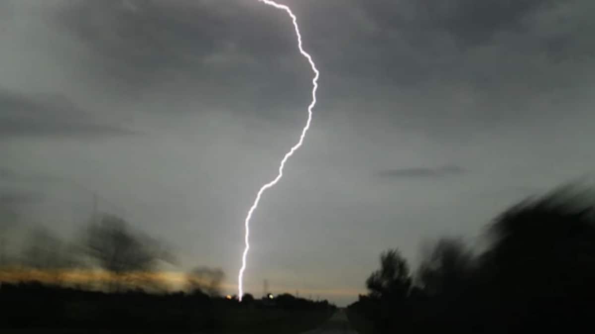 Watch: Massive lightning bolt hits tree during storm, leaves internet ...