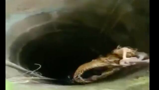 Watch: Fire department, locals rescue woman after she falls into 50 ...