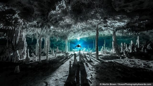 Winners of the Ocean Photography Awards dive into the amazingly ...