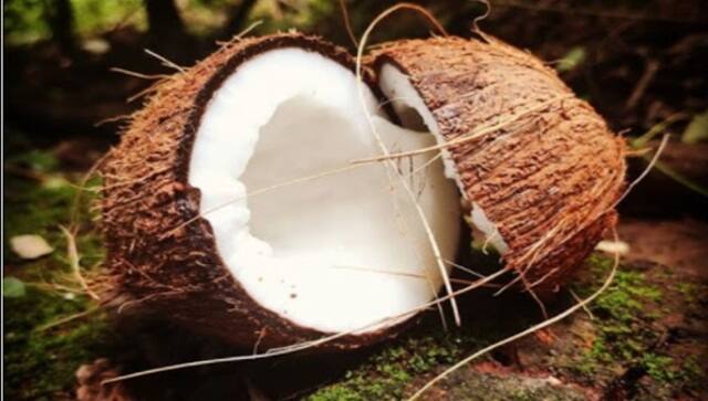 World Coconut Day 2021: History, significance, and everything you need ...