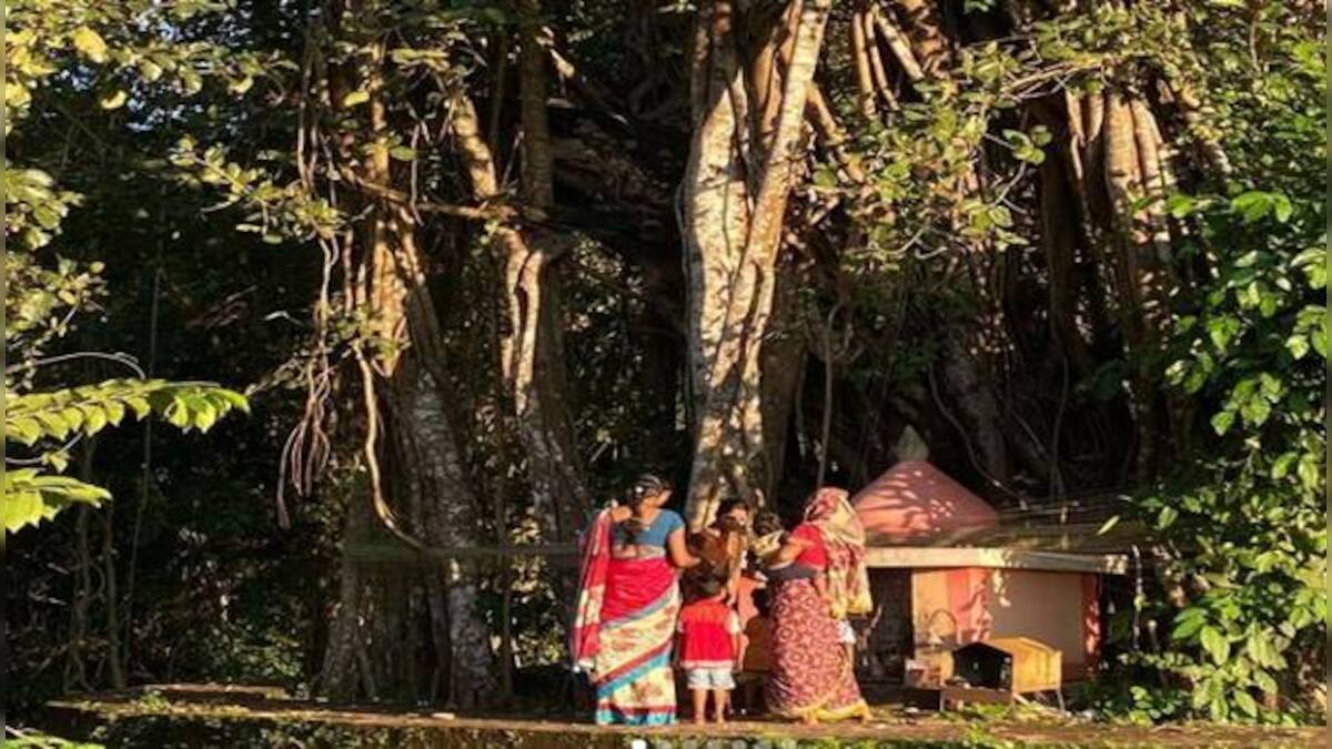 Goa Banyan Project: Environmental engineer Sanober Durrani's attempt to ...