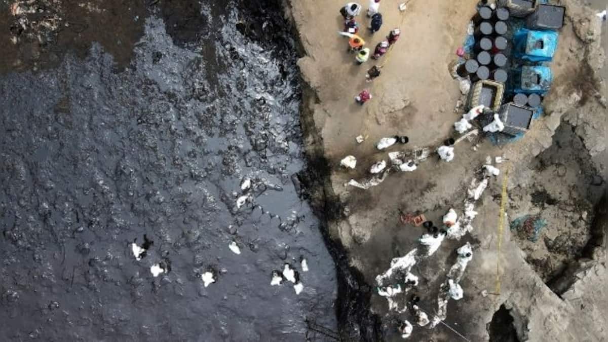 Peru declares environmental emergency on coastal area hit by oil spill ...