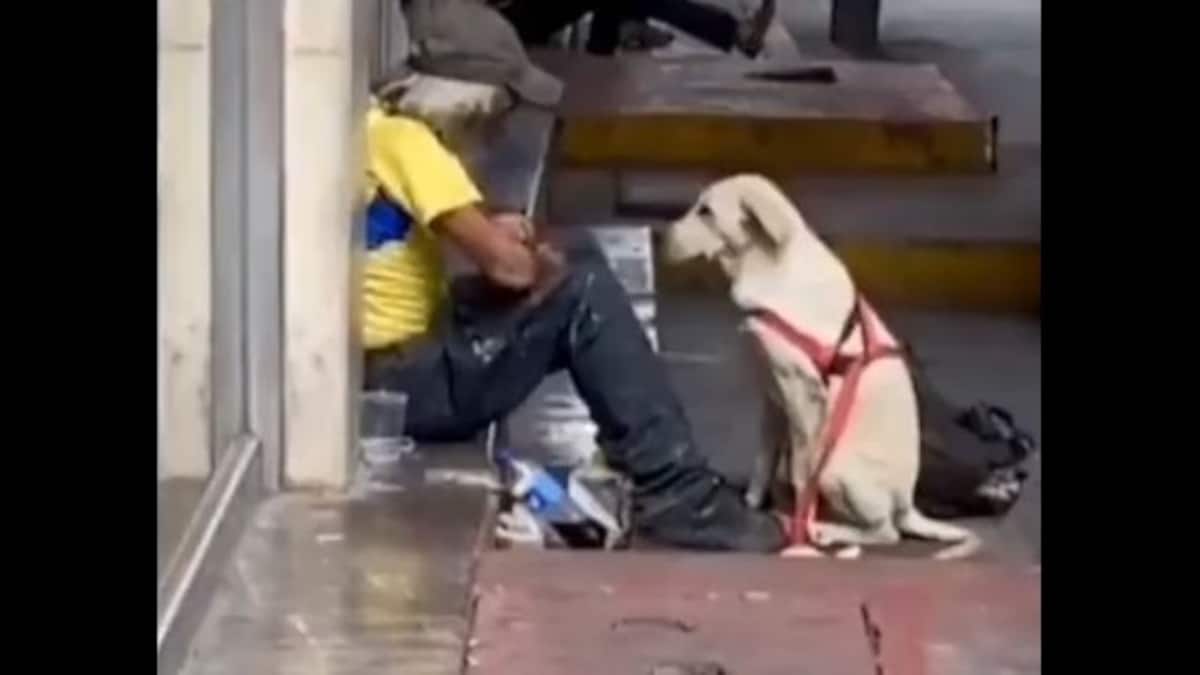 Dog hugging homeless man melts hearts on internet, watch viral video ...