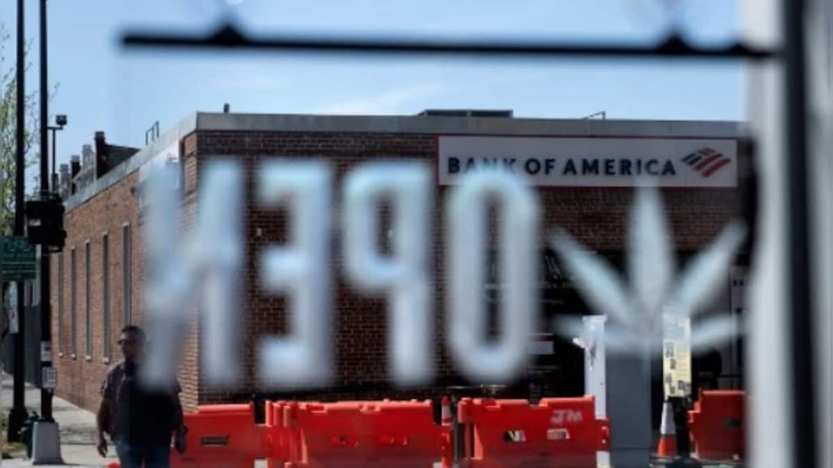 Roll up: What's World Weed Day all about and why is it celebrated on 20 ...