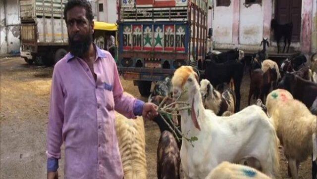 65 goats die of suffocation at mutton shop in Maharashtra's Bhiwandi