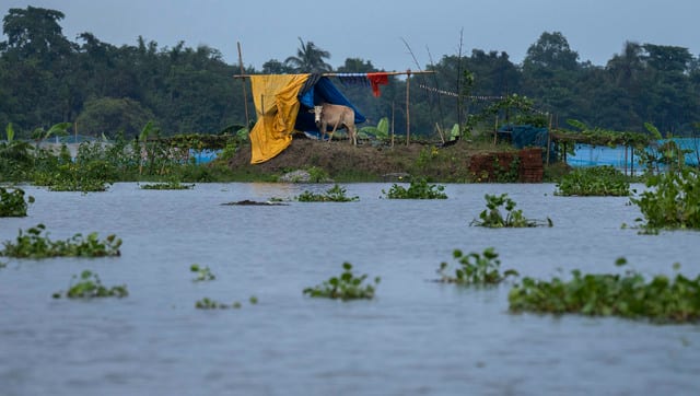 Assam floods: Most of Silchar still under water, toll rises to 108