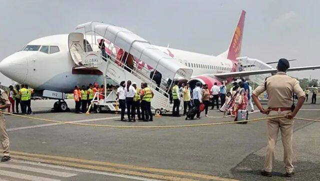 Explained: What are bird strikes and how they affect aviation safety?