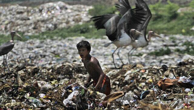 World Environment Day: Know date, theme, history and significance