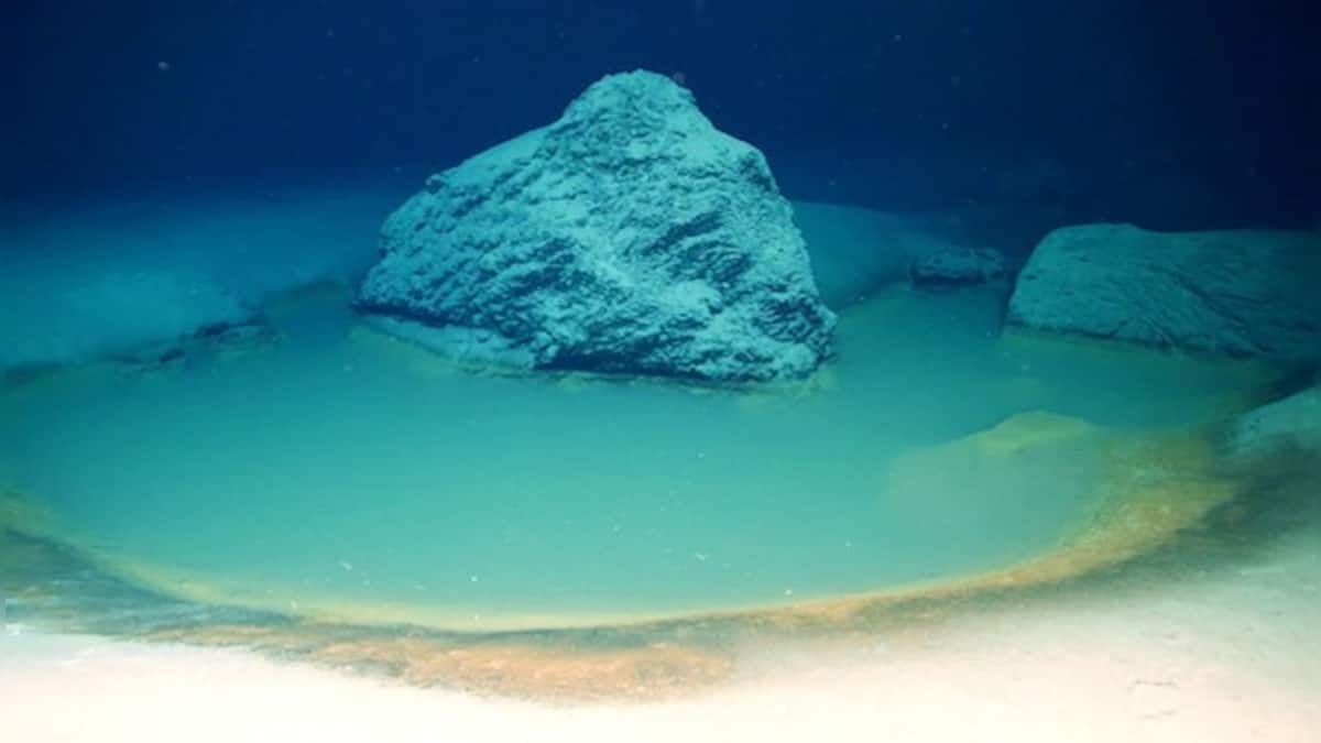Explained: ‘Deathpools’ at bottom of the Red Sea that kill anything ...