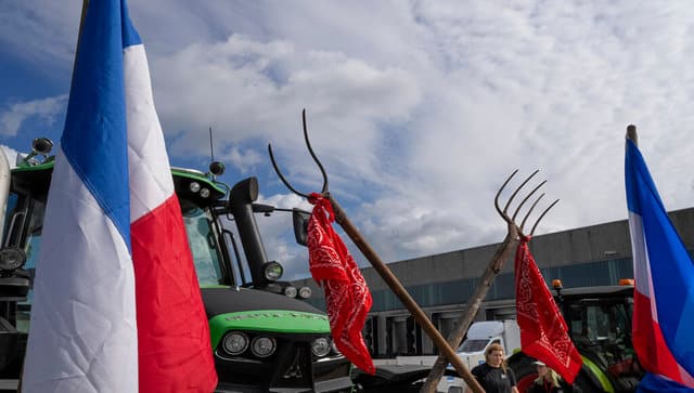 Why farmers' protests that kicked off in The Netherlands are spreading ...
