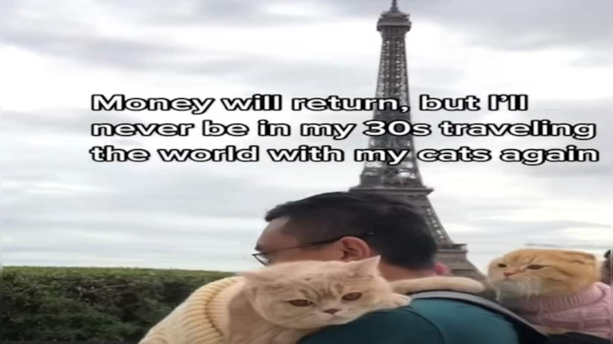 Watch: New York man travels world with his 3 cats; felines visit Paris ...
