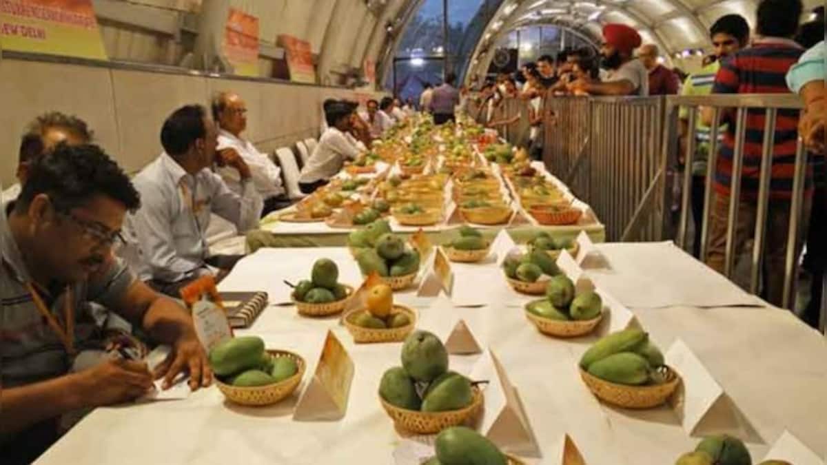 International Mango Festival 2022: All you need to know – Firstpost
