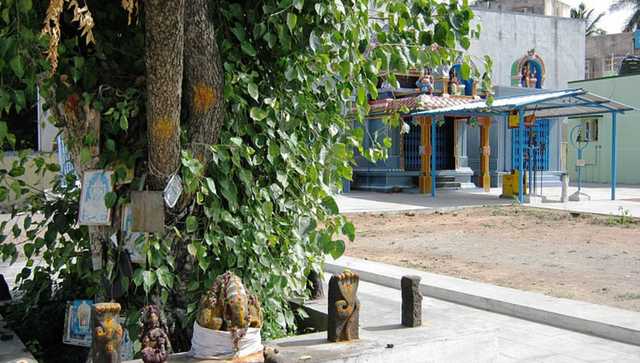 Tamil Nadu's Thalavetti Muniyappan Temple is Buddhist site, says Madras ...