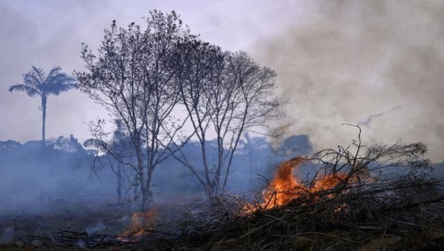 Ash ash everywhere: Brazil’s Amazon Forest sees worst fires in a decade ...
