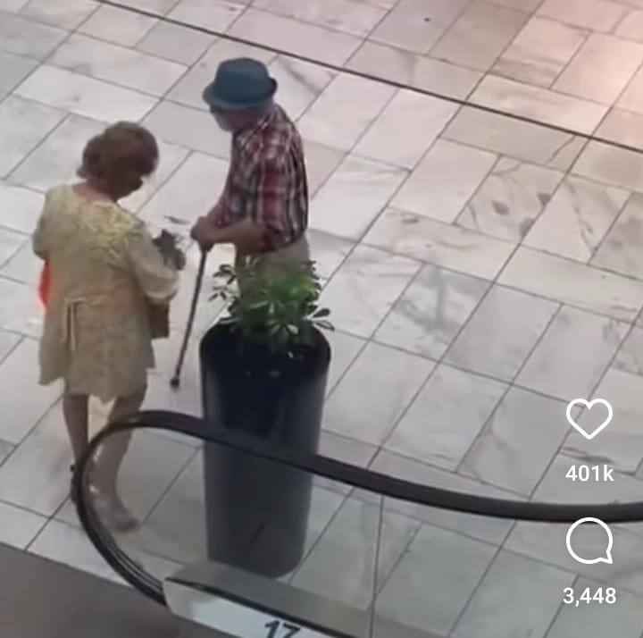 Grandparents steal plant from mall