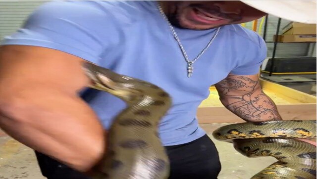 Video of anaconda biting man multiple times goes viral
