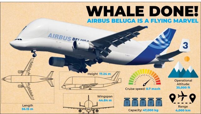 Inside Airbus Beluga, the world’s largest aircraft, which has landed in ...