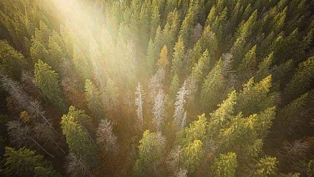 The Sound of Music: How climate change threatens quality of acoustic ...