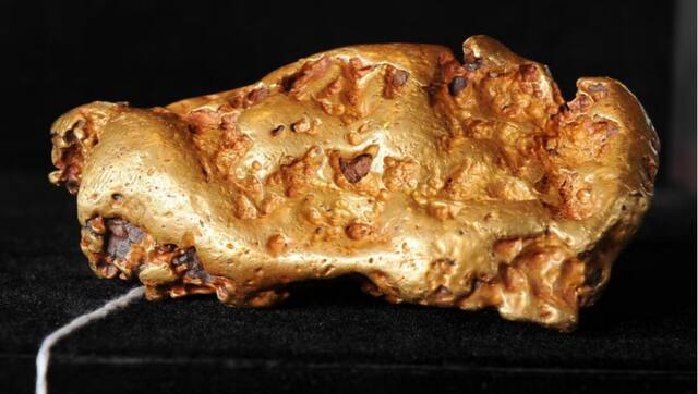 Stroke of luck: Australian man uses common metal detector to find gold ...