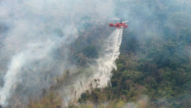 Yellow Clouds of Doom: How Thailand’s forest fires have made millions ...