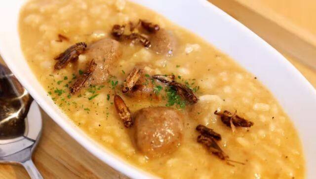 Silkworm sashimi, cricket curry on offer as bugs make stunning comeback ...