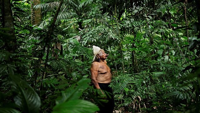 Amazon summit in Brazil begins today: Why the rainforest is important ...