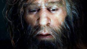 Humans nearly went extinct 900,000 years ago, say scientists. Here's ...