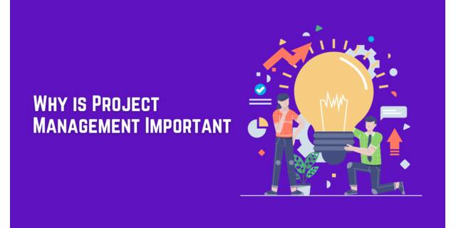 Discover Why Project Management Is Important for Success