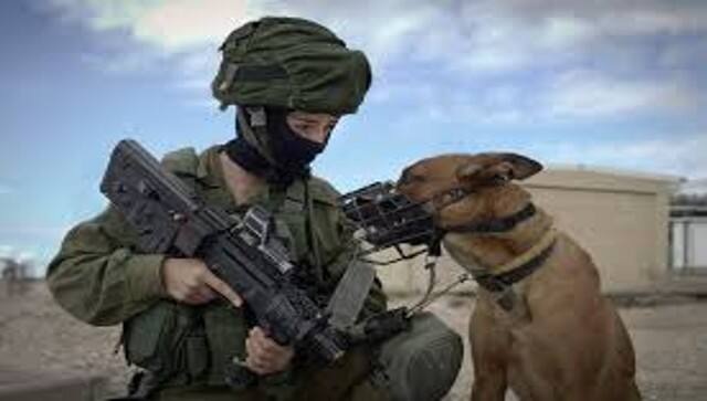 Paw Power: All about Israel military’s canine unit Oketz which helped ...