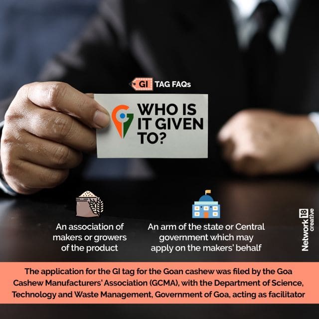 In Graphics: What is the GI tag that the Goan cashew has received ...