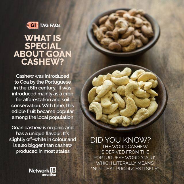In Graphics: What is the GI tag that the Goan cashew has received ...