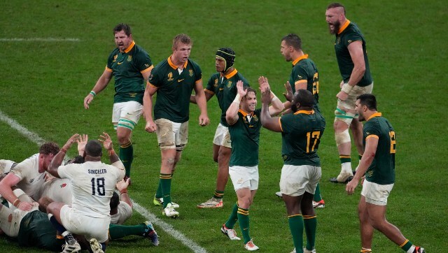 South Africa to play New Zealand in Rugby World Cup final after beating ...