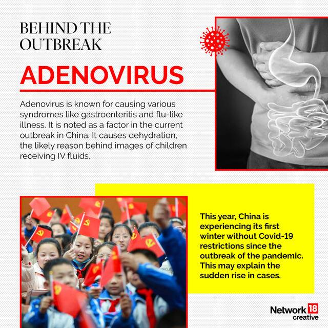 In Graphics | What's causing the pneumonia outbreak in China? – Firstpost