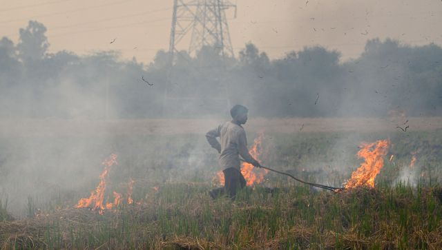Stop stubble burning now, says SC: What’s the solution for farm fires ...