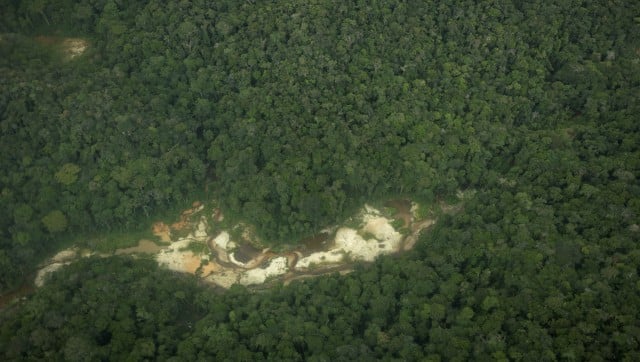 Brazil to bolster security for Yanomami territory in Amazon rainforest