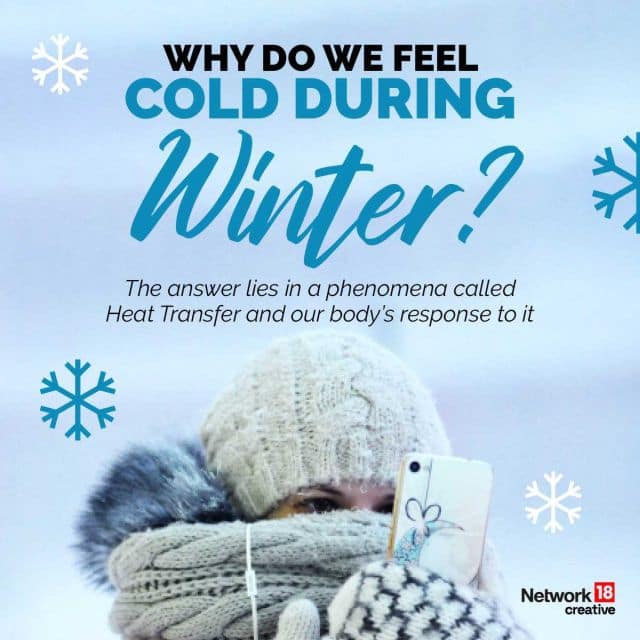 In Graphics | The science of feeling cold during winter, explained ...