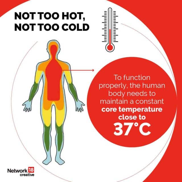 In Graphics | The science of feeling cold during winter, explained ...