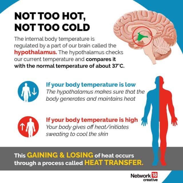 In Graphics | The science of feeling cold during winter, explained ...