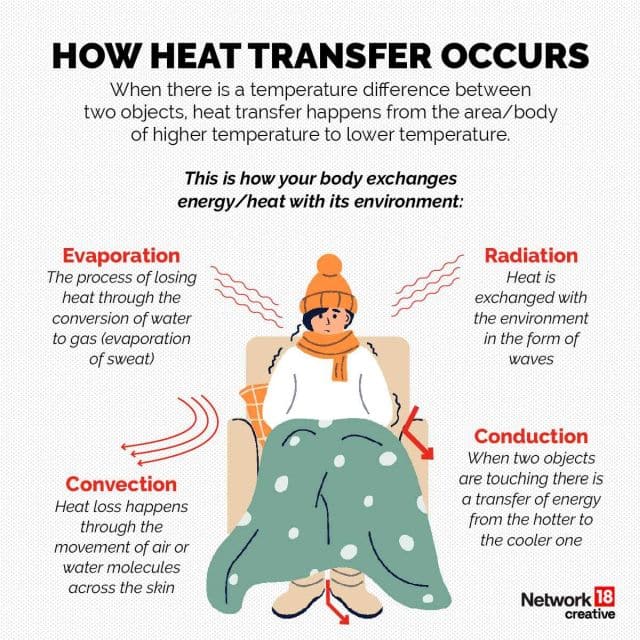 In Graphics | The science of feeling cold during winter, explained ...
