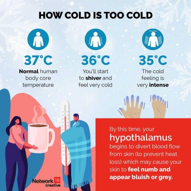In Graphics | The science of feeling cold during winter, explained ...